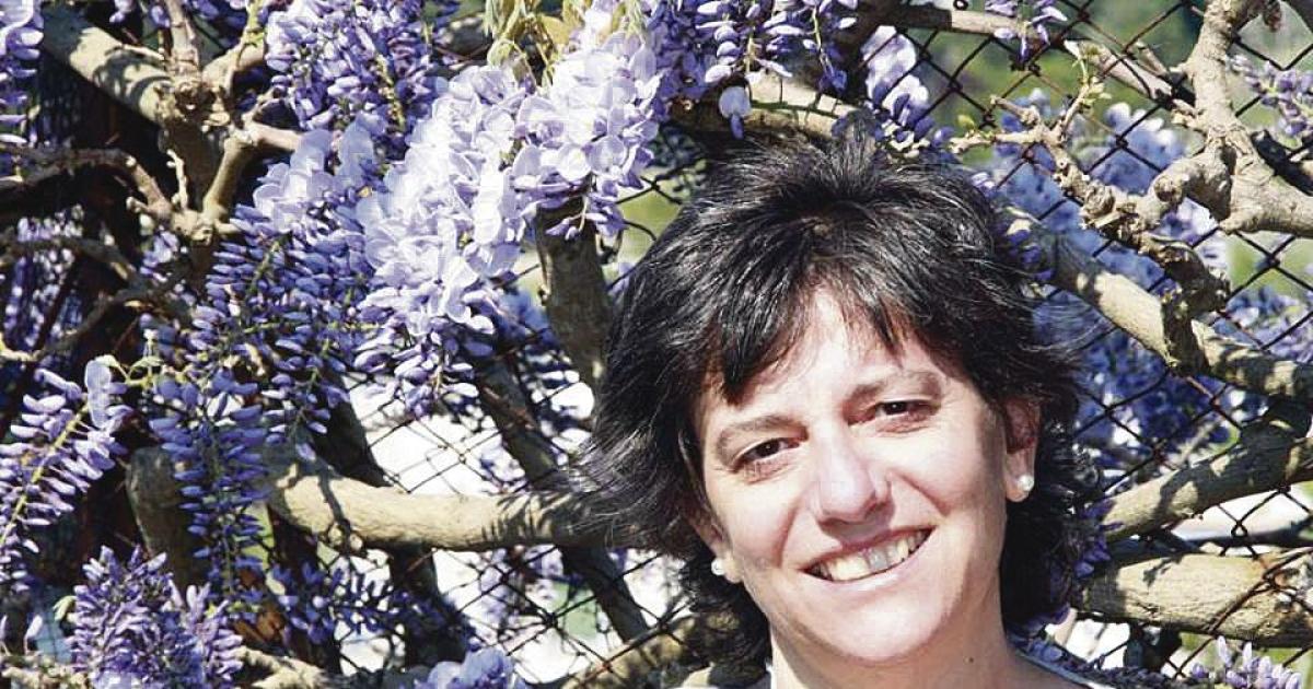 Els imprescindibles de Maria Martí