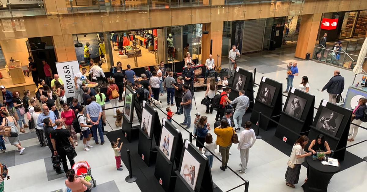 'El meu gos i jo', de Céline Pech