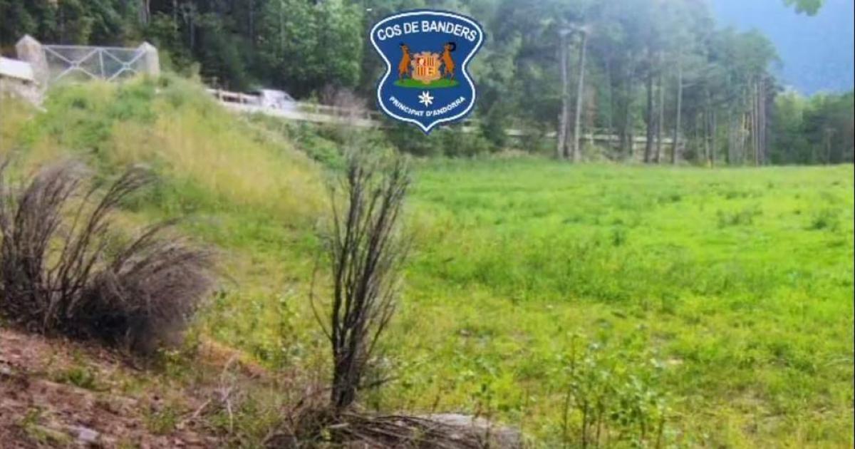 Els banders denuncien la caça furtiva d'un mascle de mufló