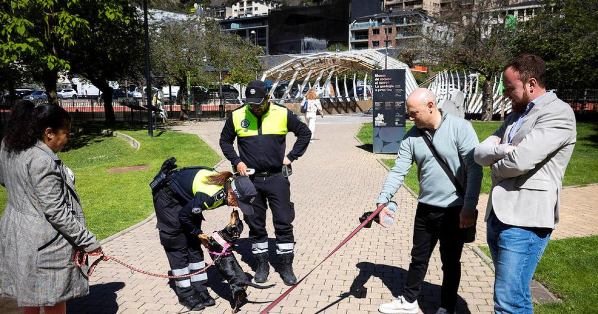 Andorra la Vella inicia la recollida de les mostres d'ADN de la femta ...
