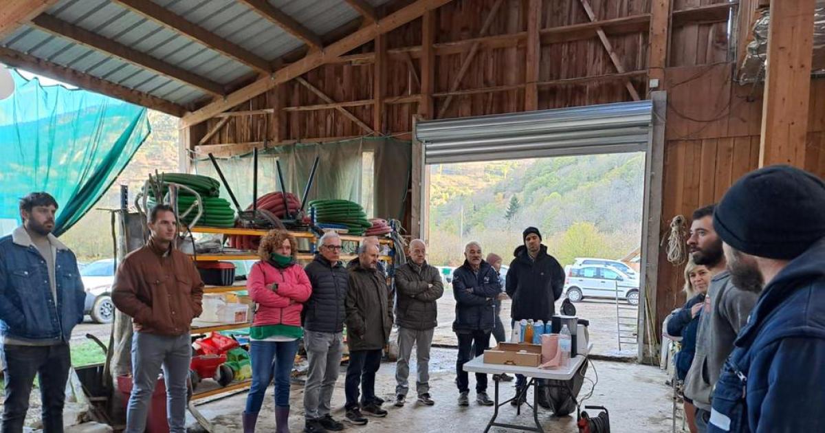 Visita del comú a explotacions ramaderes de la veïna Arieja
