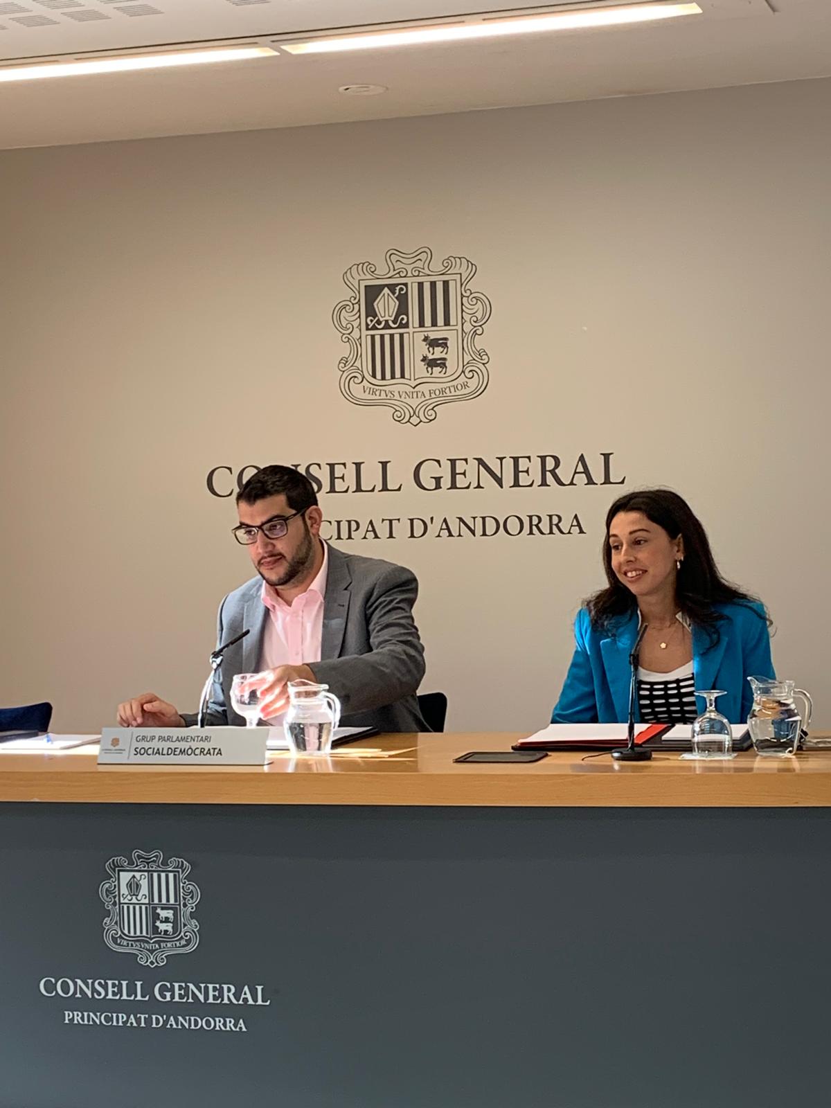 El Partit Socialdemòcrata d'Andorra presenta una esmena a la totalitat al projecte de llei ...